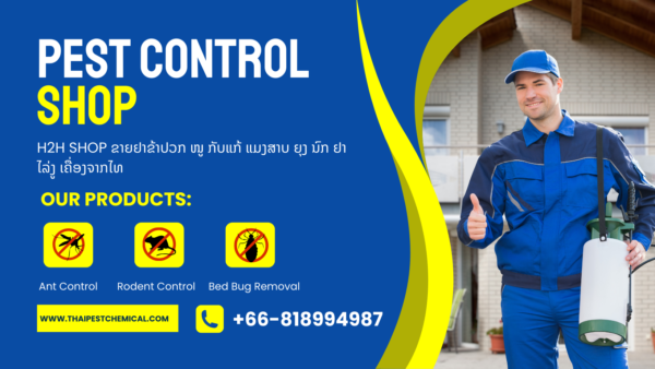 ยากำจัดแมลงหาซื้อได้ที่ไหนในลาว? - Thai Pest Chemical
